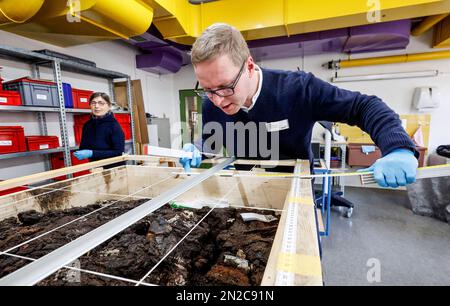 Schleswig, Germany. 02nd Feb, 2023. A prehistorian uncovers human ...