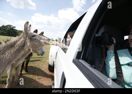 Second-grader Lucie Bohnsack received an individualized tour of the ...