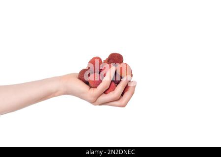 Hand full of litchi isolated on white background. The lychee has fleshy ...