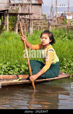 Floating fields, single-leg rower, Inle Lake, Myanmar, Inle Lake ...