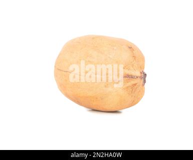 Pecan nut in shell isolated on white background Stock Photo - Alamy
