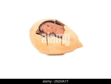 Pecan nut in cracked shell isolated on white background Stock Photo - Alamy