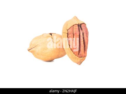 Two dry pecans in cracked shells on a white background Stock Photo - Alamy