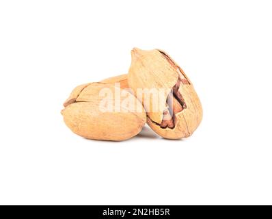 Three pecans in shell isolated on white background Stock Photo - Alamy