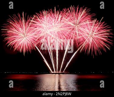 Fireworks from Polaris Fireworks AB of China fill the night sky at ...