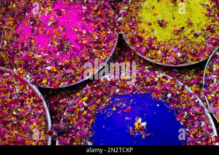 Holi powder used to celebrate festivals of colour in Hinduism and ...