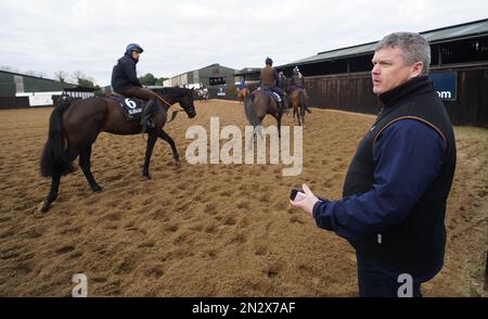A horse goes out to the gallops during the visit to Nicky Henderson's ...