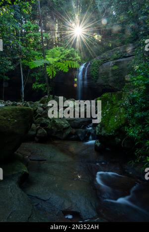 Buderim waterfalls also known as Serenity Falls is set in 45 hectares ...