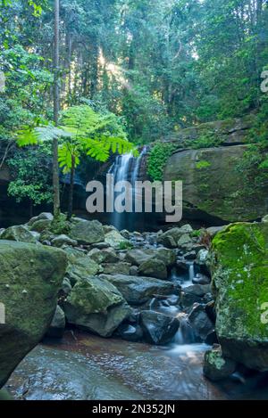 Buderim waterfalls also known as Serenity Falls is set in 45 hectares ...