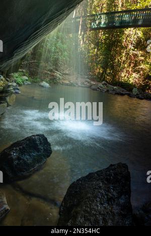 Serenity Falls in the Buderim Forest Park, Sunshine Coast, Queensland ...