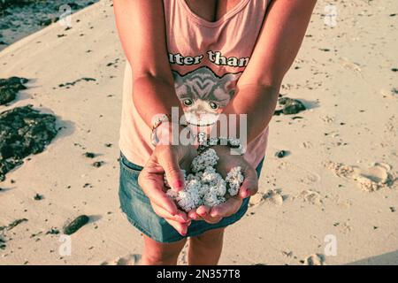 popcorn grain sand beach in Fuerteventura Stock Photo - Alamy