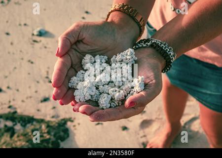 popcorn grain sand beach in Fuerteventura Stock Photo - Alamy