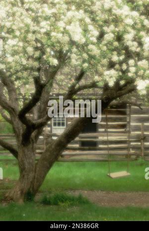 Blossoming fruit trees and historic buildings, renovated red brick ...