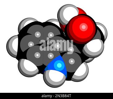 indole-3-propionic acid or IPA molecule. 3D rendering. Atoms are ...