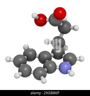 indole-3-propionic acid or IPA molecule. 3D rendering. Atoms are ...