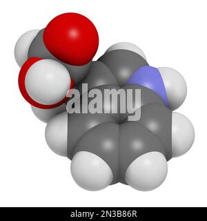 indole-3-propionic acid or IPA molecule. 3D rendering. Atoms are ...