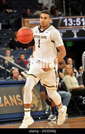 Notre Dame forward Austin Torres celebrates during the second half of ...