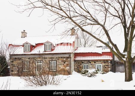 Old 1838 Canadiana assorted coloured fieldstone cottage style home with ...