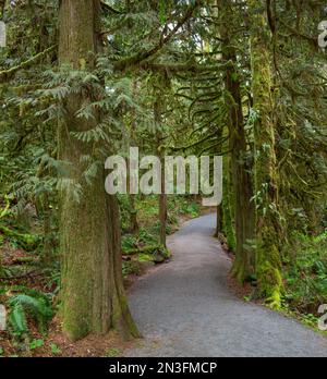 Trail through a lush forest, Derby Reach Regional Park; Langley ...