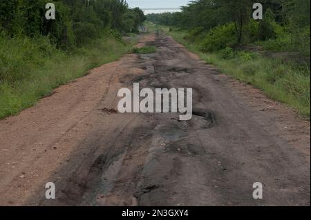 Muddy road with tire ruts in Queen Elizabeth National Park, Uganda ...