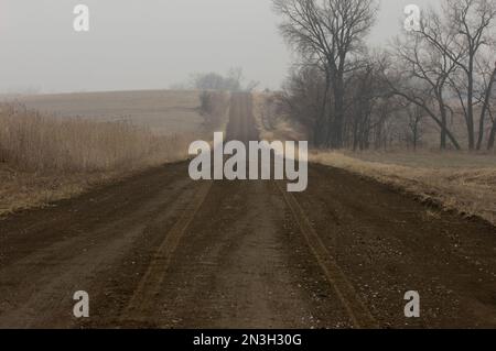 Muddy road leading through a foggy countryside with a road sign warning ...