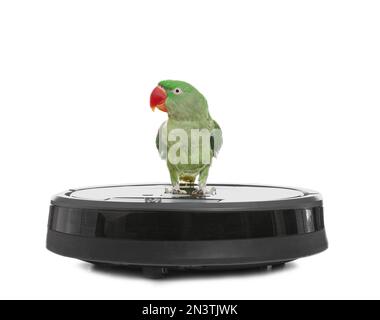 Modern robotic vacuum cleaner and Alexandrine parakeet on white ...