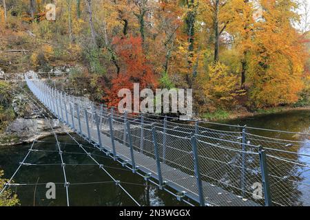 Suspension bridge over the Danube, mixed forest in autumn colour ...
