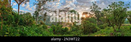 Landscape, Kaffa, Panorama, Ethiopia Stock Photo - Alamy