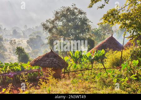 Huts, Kaffa, Ethiopia Stock Photo - Alamy
