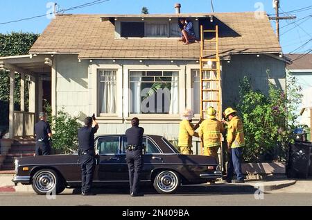 CORRECTS NAME FROM LAURA RIVERA TO MELORA RIVERA - In this Wednesday ...