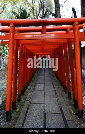 Red Tori Gate at the Wakamiya Hachiman Shrine in Nagoya, Japan Stock ...