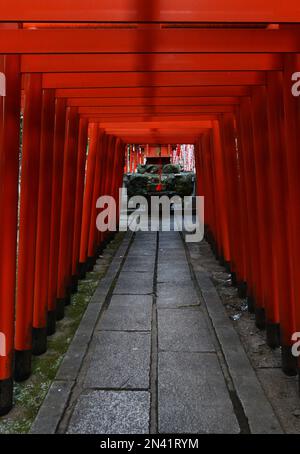Red Tori Gate at the Wakamiya Hachiman Shrine in Nagoya, Japan Stock ...