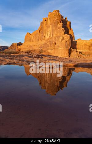 Entrada sandstone rock formation reflected in a rainwater pool in ...