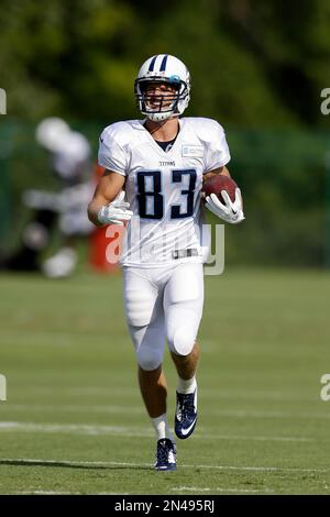 Tennessee Titans wide receiver Marc Mariani (83) during an NFL football ...