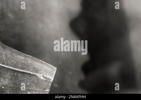 Broken window panes with a human-like screaming face Stock Photo - Alamy