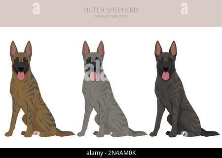 Dutch shepherd clipart. Different poses, coat colors set. Vector ...