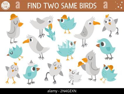 Find two same birds. Forest black and white matching activity or ...