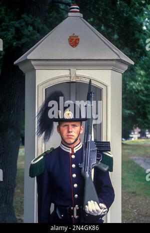 Norwegian soldier standing guard, Royal Palace, Oslo, Norway Stock ...