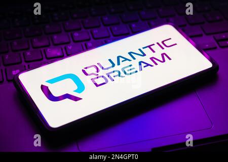 In this photo illustration, a Dream logo of Israeli AI cyber startup is ...