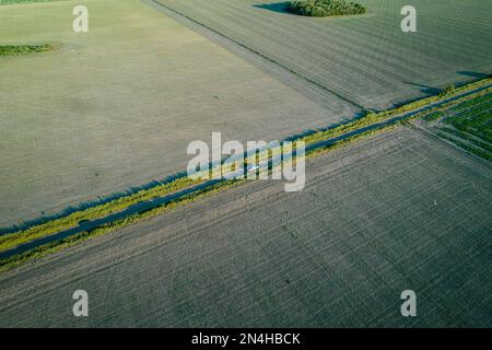 Soybean production fields in fallow covered by forage. Crop rotation ...