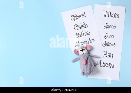 Lists of different baby names and toy on light blue background, flat ...
