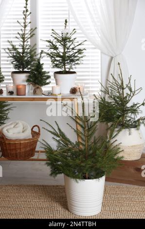 Beautiful room interior with potted fir trees and fireplace Stock Photo ...