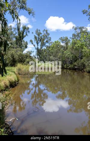 Condamine River at Archers Crossing Stock Photo - Alamy