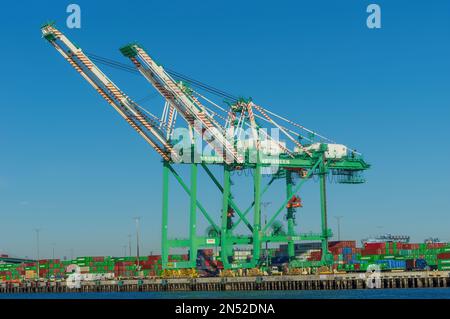 Port of Los Angeles. Everport Shipping Container terminal. Shipping ...