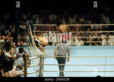 Referee Jay Edson, Phoenix, Ariz., sends George Foreman to his corner ...