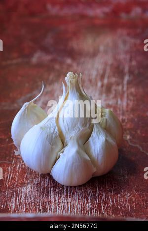 Still Life with Garlic, Germany Stock Photo - Alamy