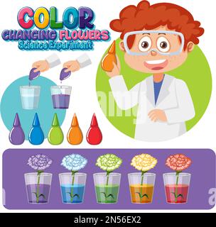Color changing flowers science experiment illustration Stock Vector ...