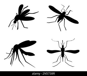 Black mosquitoes on white background, banner design. Illustration Stock ...