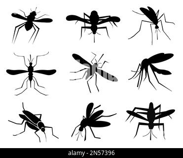 Set of black mosquitoes on white background, banner design ...