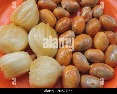 Kathal tree, jackfruit tree, jack tree, artocarpus heterophyllus ...
